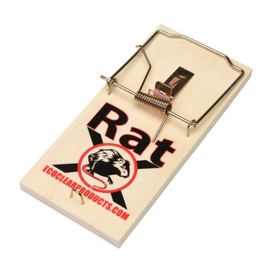 RatX Wood Trap (12 units)