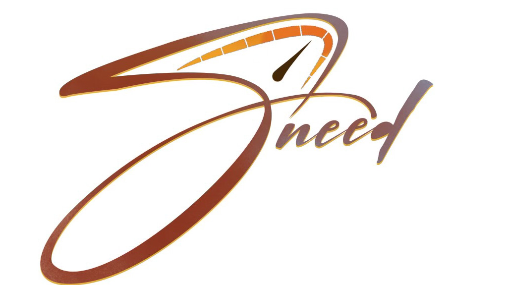 SneedSpeed R53 Engine Rebuild Kit: Restore Power and Reliability to ...