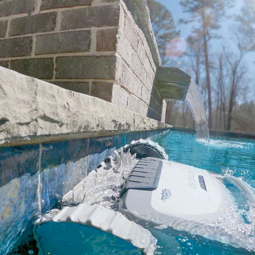 Dolphin Active 60 Robotic Automatic Pool Cleaner - Westwood Pool Company