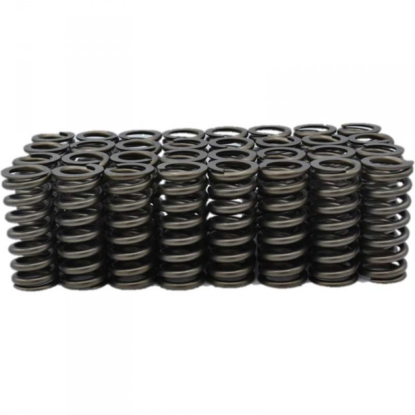 Ford 6.0L Valve Springs | Blessed Performance