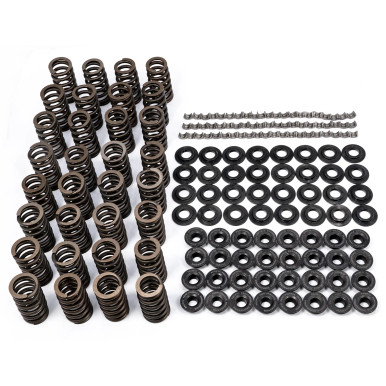 PPE Valve Springs Kit|blessedperformance.com