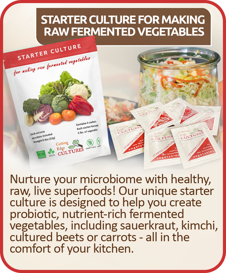 Starter Culture for Making Raw Fermented Vegetables