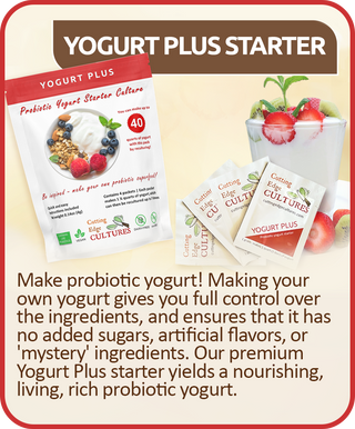 Yogurt Plus starter