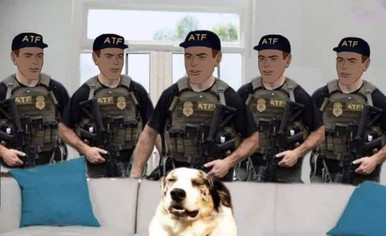 ATF Memes