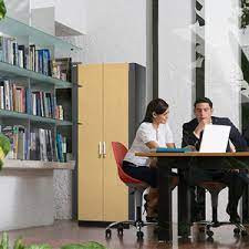 CX 38U, 44"D Secure Soundproof Pre-configured Office Rack - Oak ...