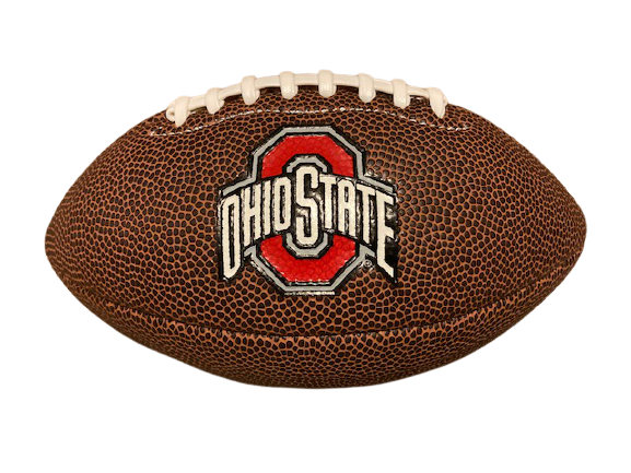 Rawlings Ohio State Buckeyes Air It Out 9" Mini Football