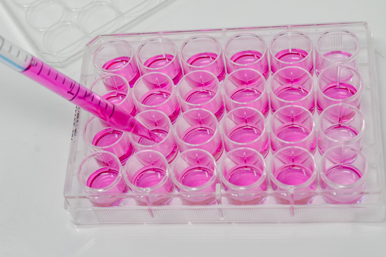 AffiPCR Biosystems