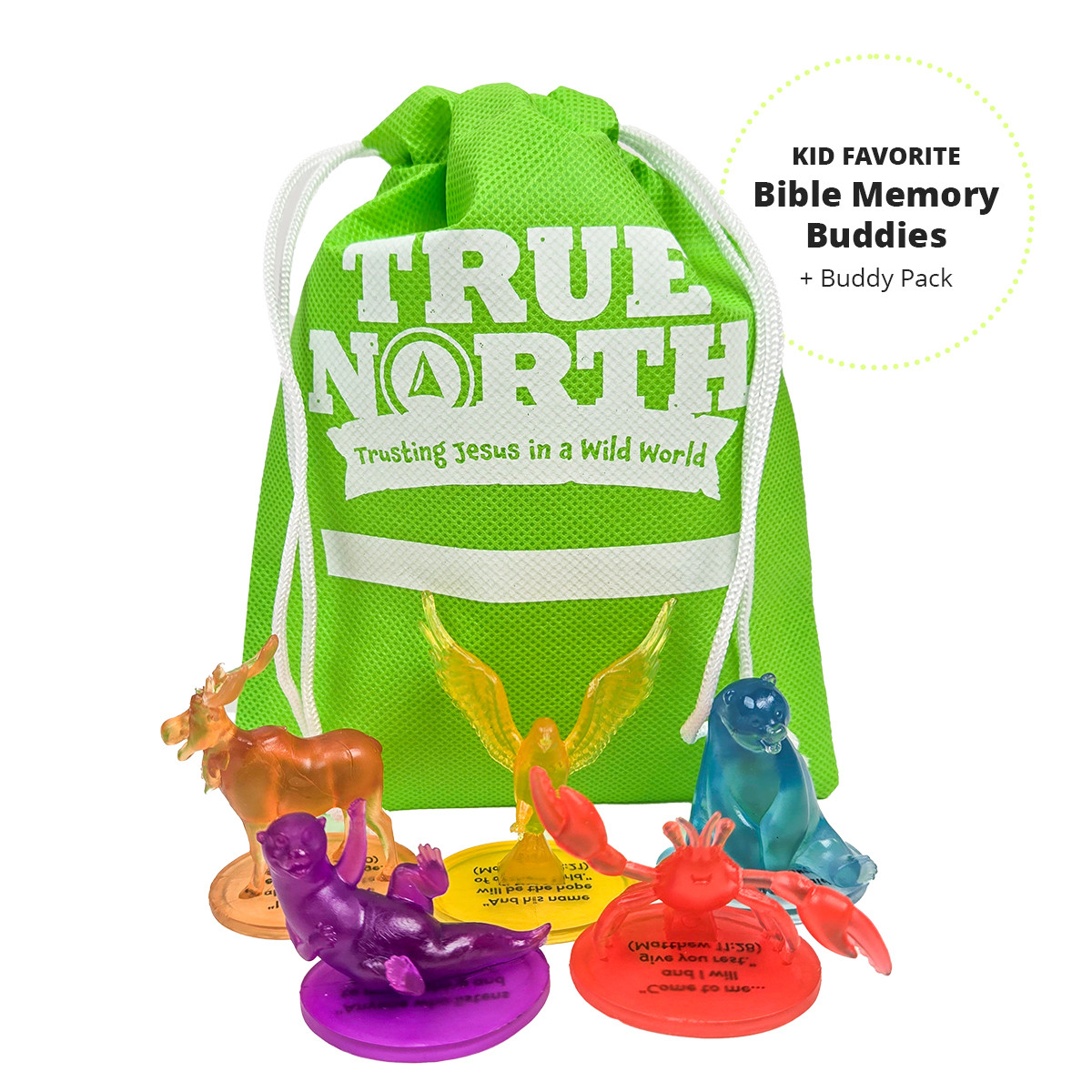 Ultimate Starter Kit Plus Digital - True North VBS 2025 by Group ...