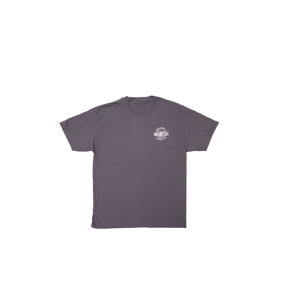 Adult Gray Bible Verse T-Shirt - Adult Large - Magnified! VBS 2025 by ...