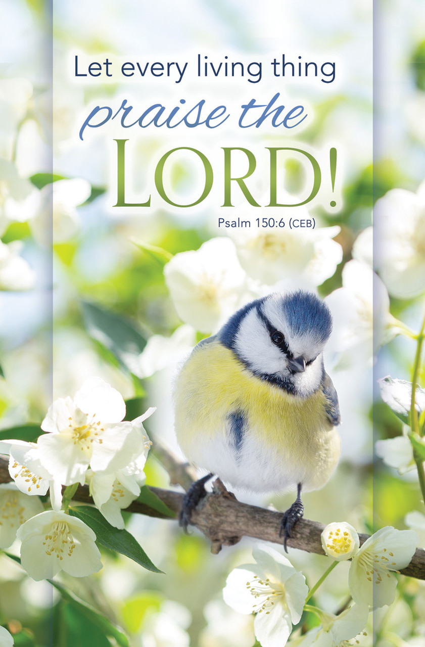 Church Bulletin 11" - Spring - Ps 150:6 - Let Every Living Thing - Pack ...