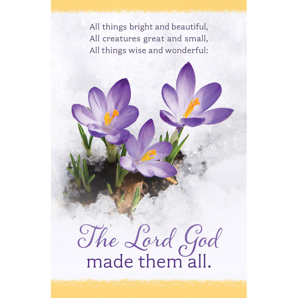Church Bulletin - 11" - General - Winter - Purple Flowers - Pack of 100