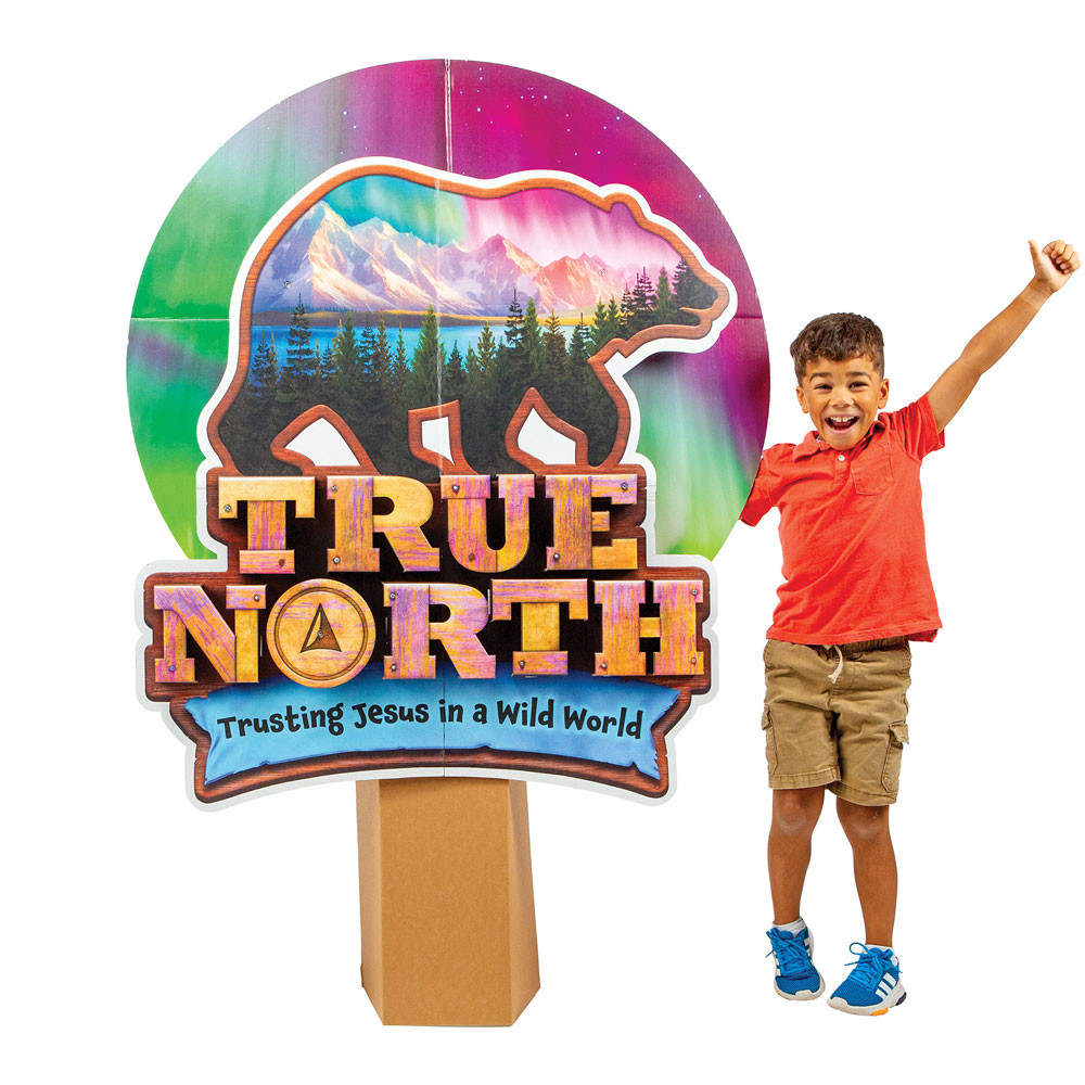 True North Theme Display - Featuring LED Lights (AA batteries not ...