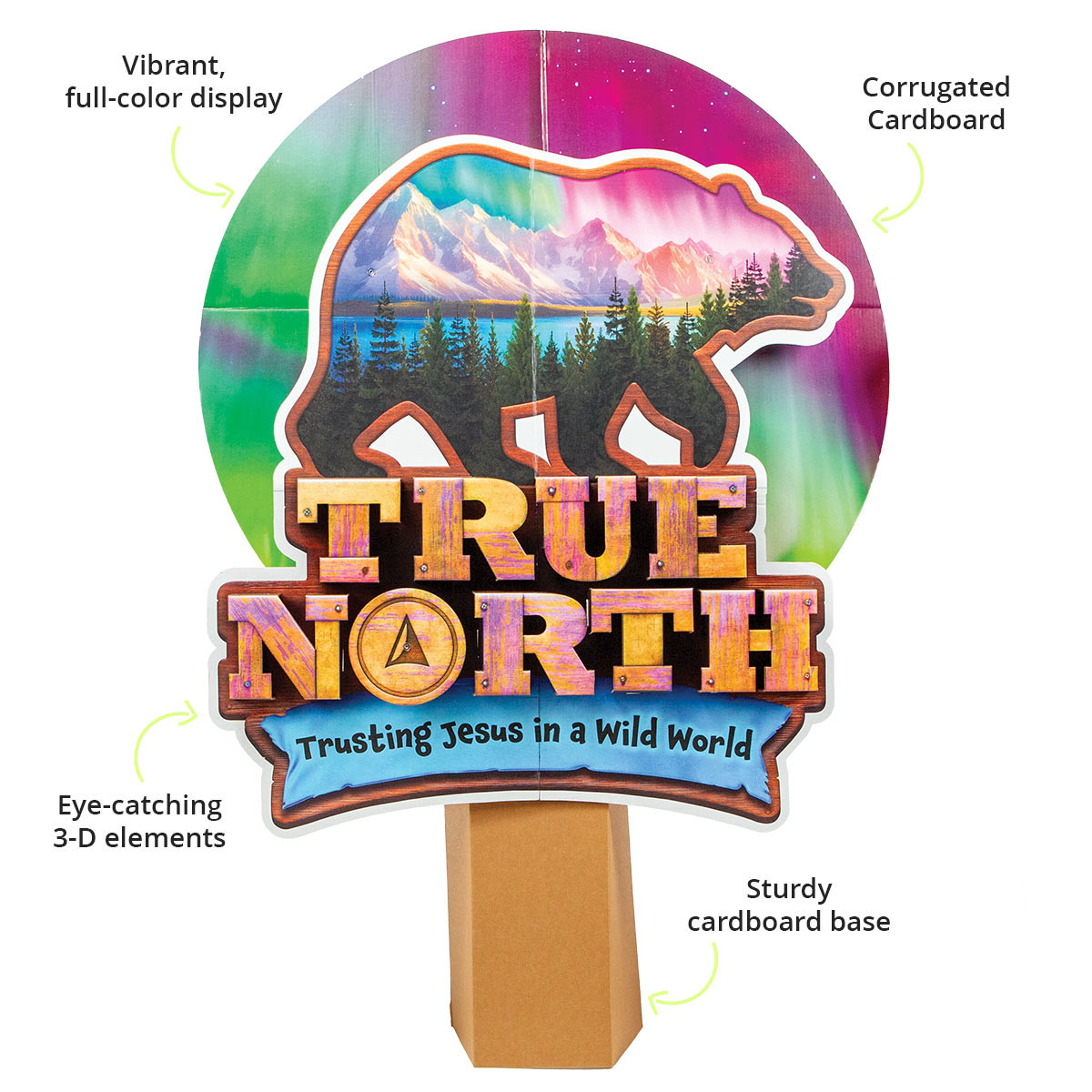 True North Theme Display - Featuring LED Lights (AA batteries not ...