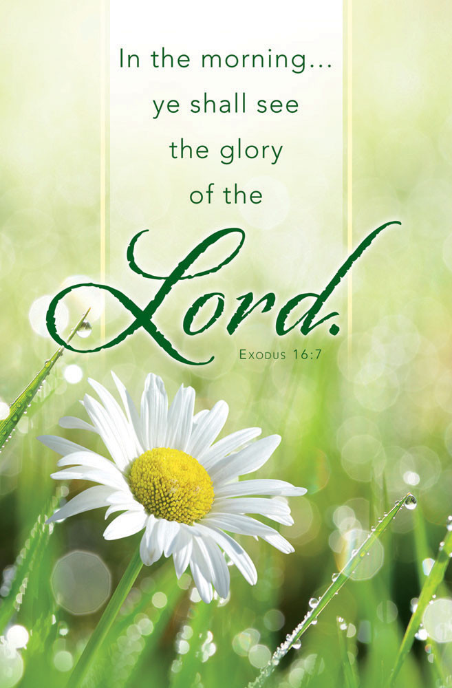 Church Bulletins | Worship Bulletins | Church Bulletin Covers