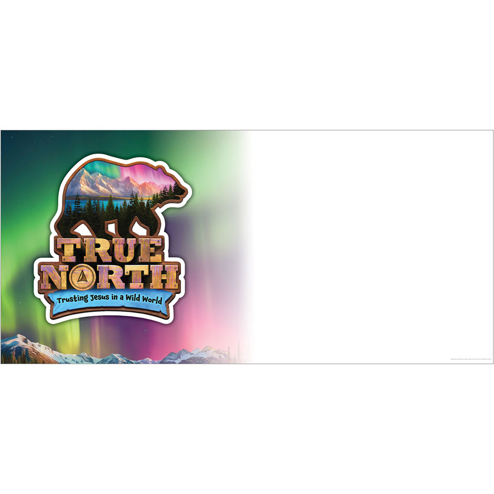 True North Outdoor Banner - 8ft x 3.75ft - Weather-resistant - One ...