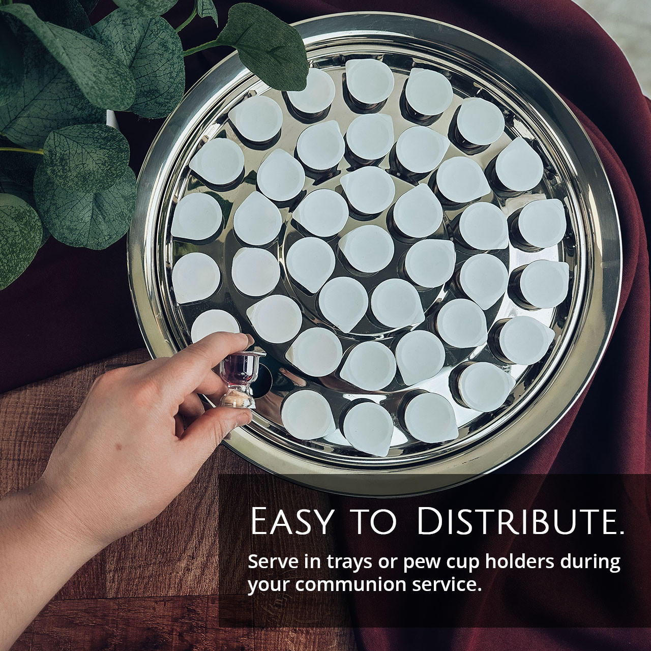 TrueVine Chalice Prefilled Communion Cups - Bread & WINE Sets (Box of 100)