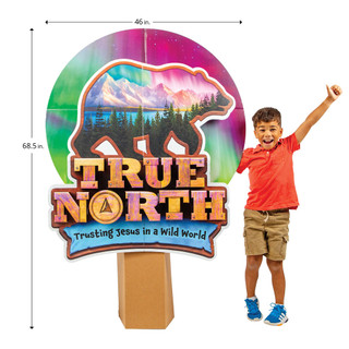True North Theme Display - Featuring LED Lights (AA batteries not ...