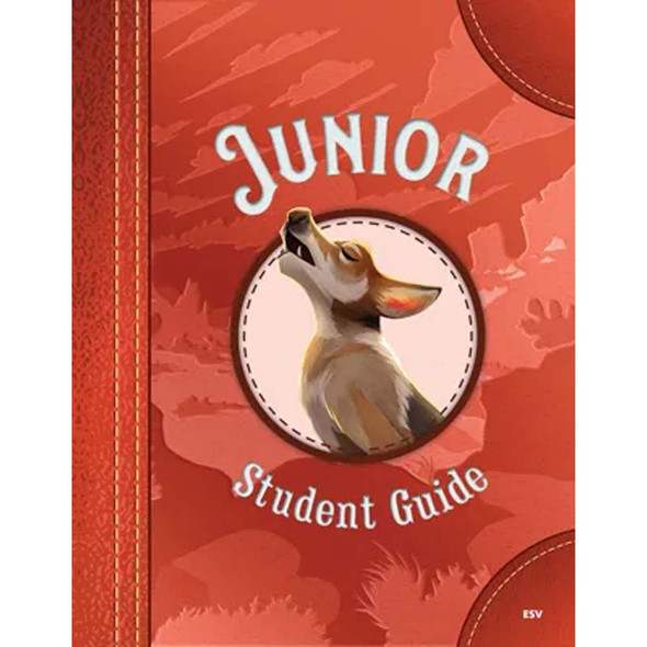 Kids Answers - The Wild History of Horses - Pack of 10 - Wonder ...