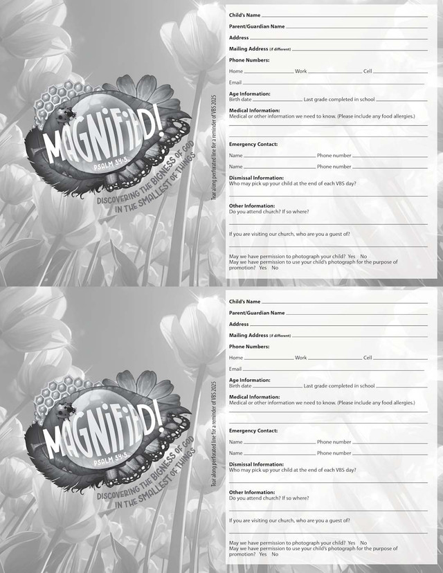 Registration Flyer - Pack of 50 - Two per sheet (5.5" x 8.25 ...