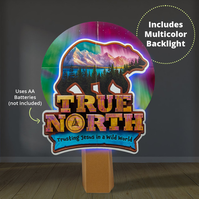 True North Theme Display - Featuring LED Lights (AA batteries not ...