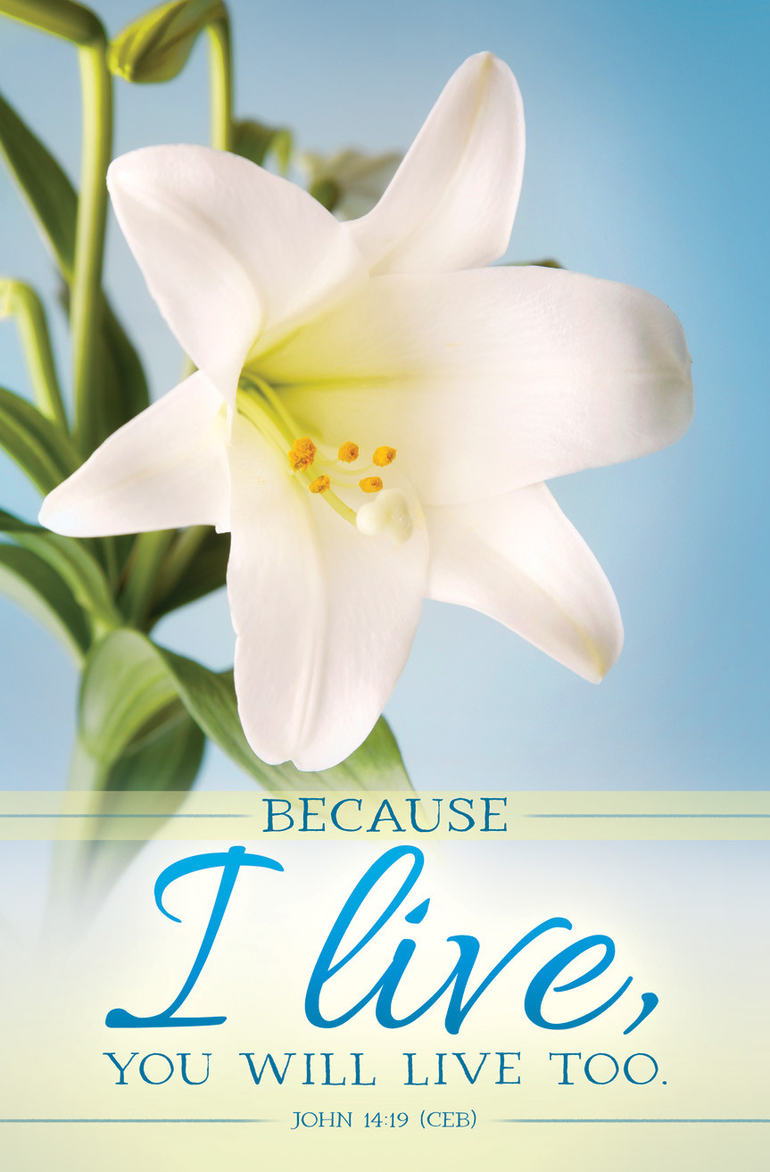 Church Bulletins | Worship Bulletins | Church Bulletin Covers