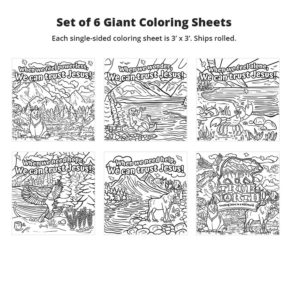 Giant Coloring Page, True North Bible Point Collection - 3ft x 3ft ...