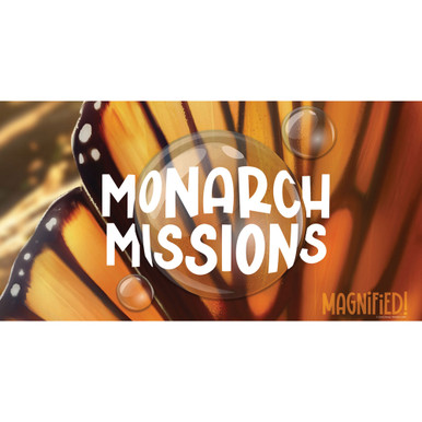 Rotation Signs Pkg. 7 - Each sign is 12" X 23" - Magnified! VBS 2025 by Lifeway - Concordia Supply