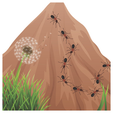 Giant Anthill - Easy Scene Pop-Up Giant VBS Display - 95" x 95" - VBS ...