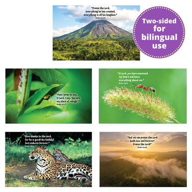 Bible Verse Posters (set of 5) (22" x 34") - Two-sided English/Spanish ...