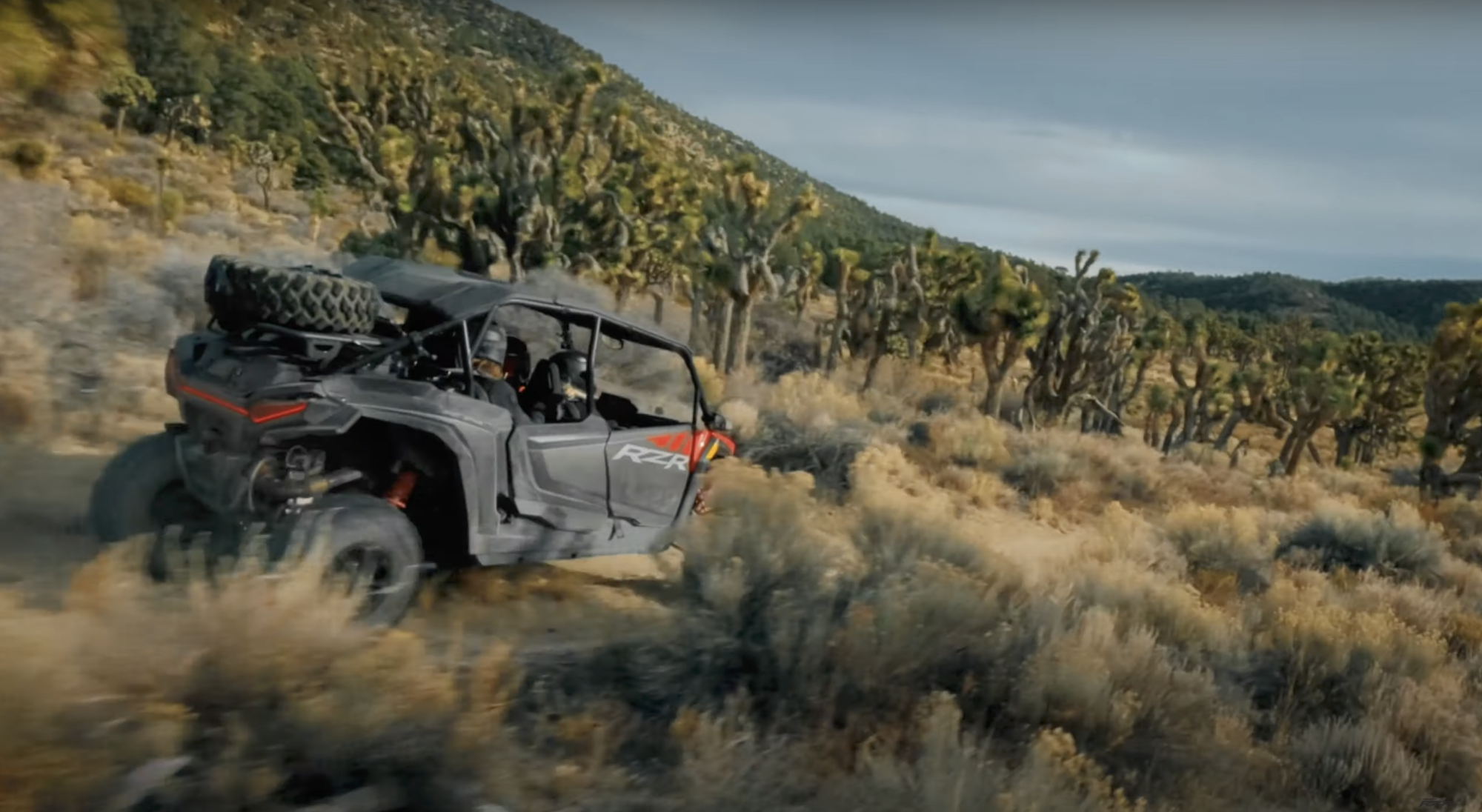 Dianna Dahlgren's 2024 RZR XP XPERIENCES in Big Bear with Polaris - UTV ...