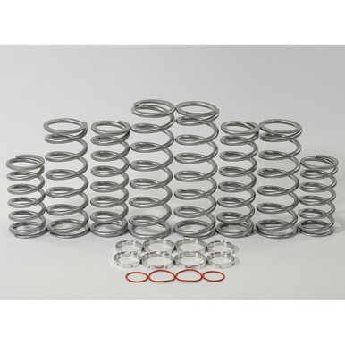 Shock Therapy Polaris Turbo S Dual Rate Spring Kit