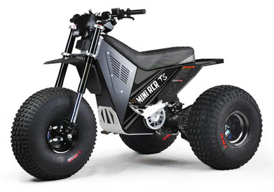 MINI RCR T3 Electric 3 Wheel E-Bike - Base Model Black with Black ...