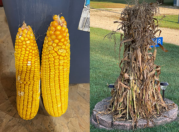 Early Fall Updates from ERTL Farm Toys - TOMY