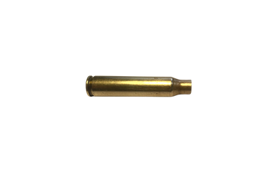 308 Winchester - Precision Bore Guide