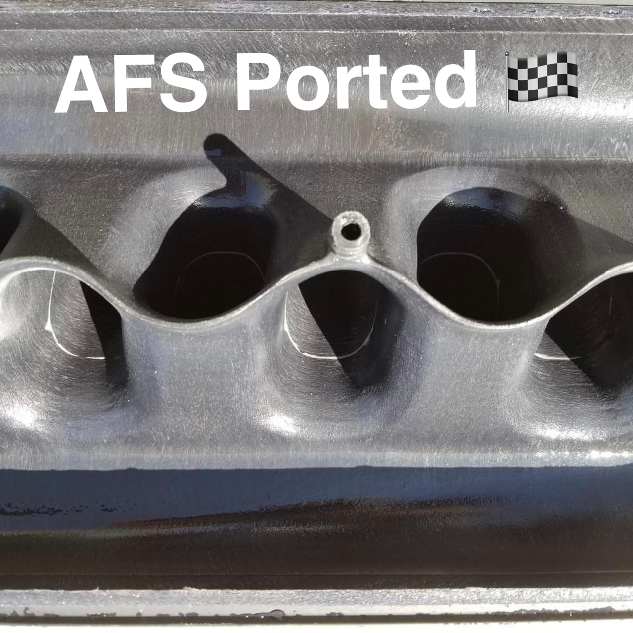AFS Cobra Jet Ported Intake Manifold (11-20 Mustang)