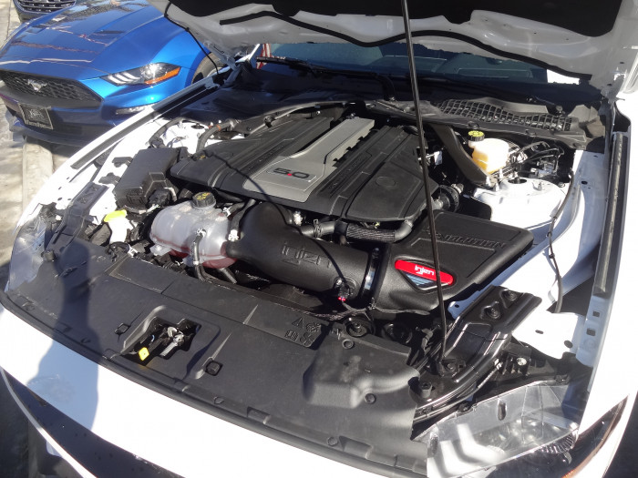 Injen Evolution Cold Air Intake System (2018-2023 Ford Mustang GT) EVO9202