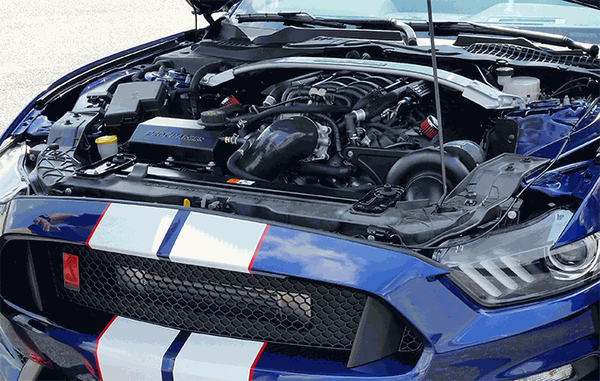 ProCharger Stage II P-1X Tuner Kit GT350 2015-2020