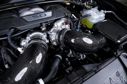 SPE Motorsports Carbon Fiber Cold Air Intake 24-26 Mustang