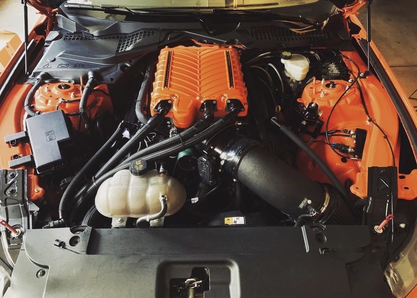 Whipple Cobra Jet Gen 5 Supercharger Upgrades = More Boost - Beefcake ...