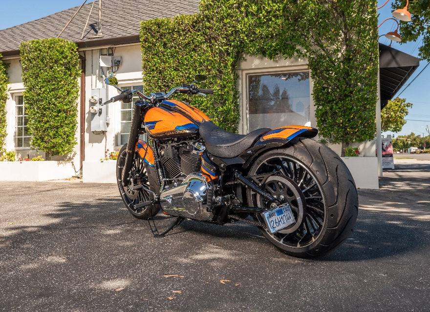 Kodlin Orange Blossom