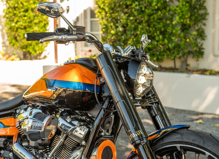 Kodlin Orange Blossom