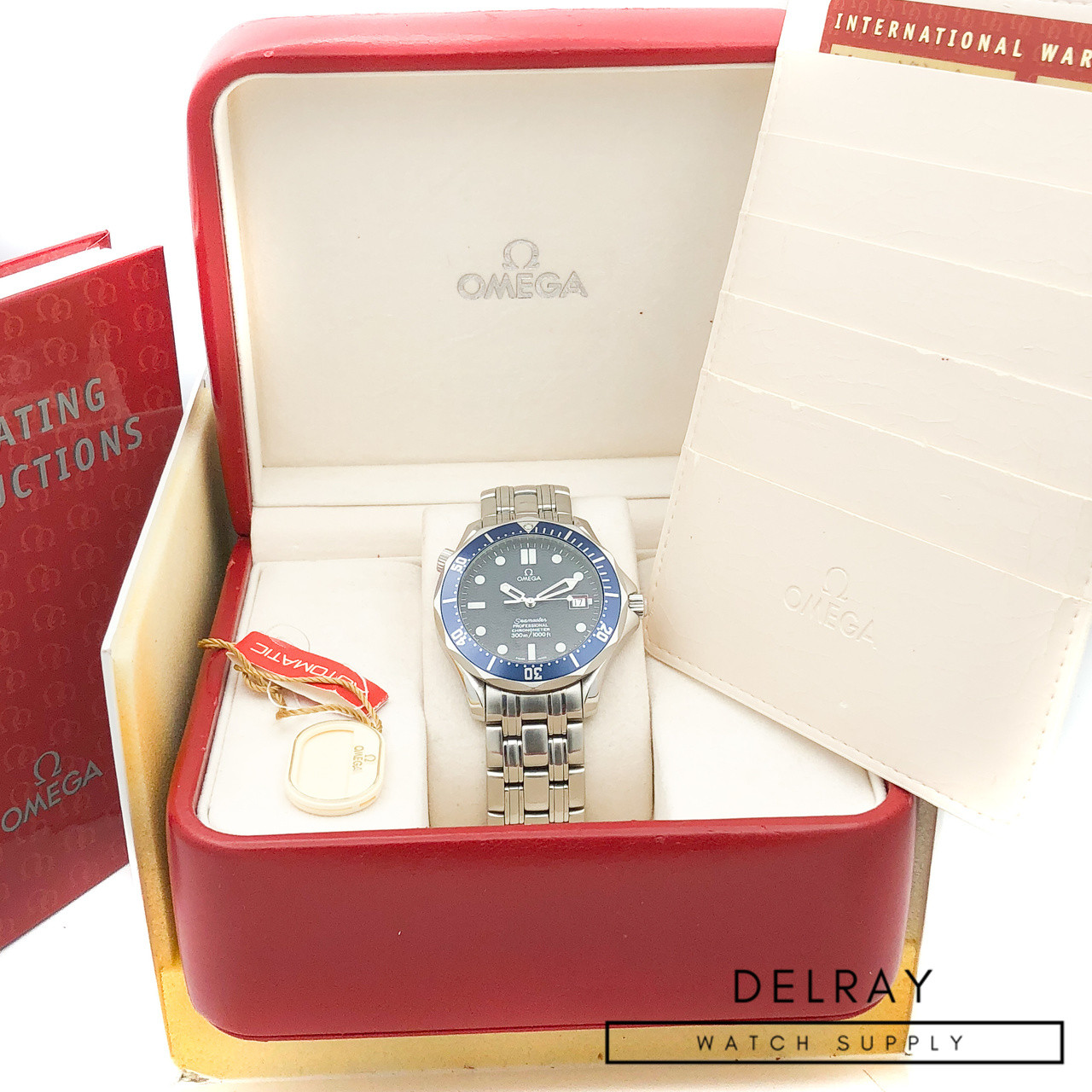 Omega Seamaster Professional (Box and Papers) - DelrayWatch.com