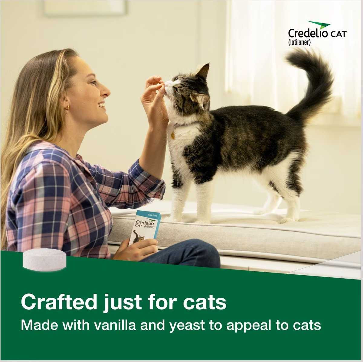 Credelio pour chats - Comprimés contre les puces et les tiques ...