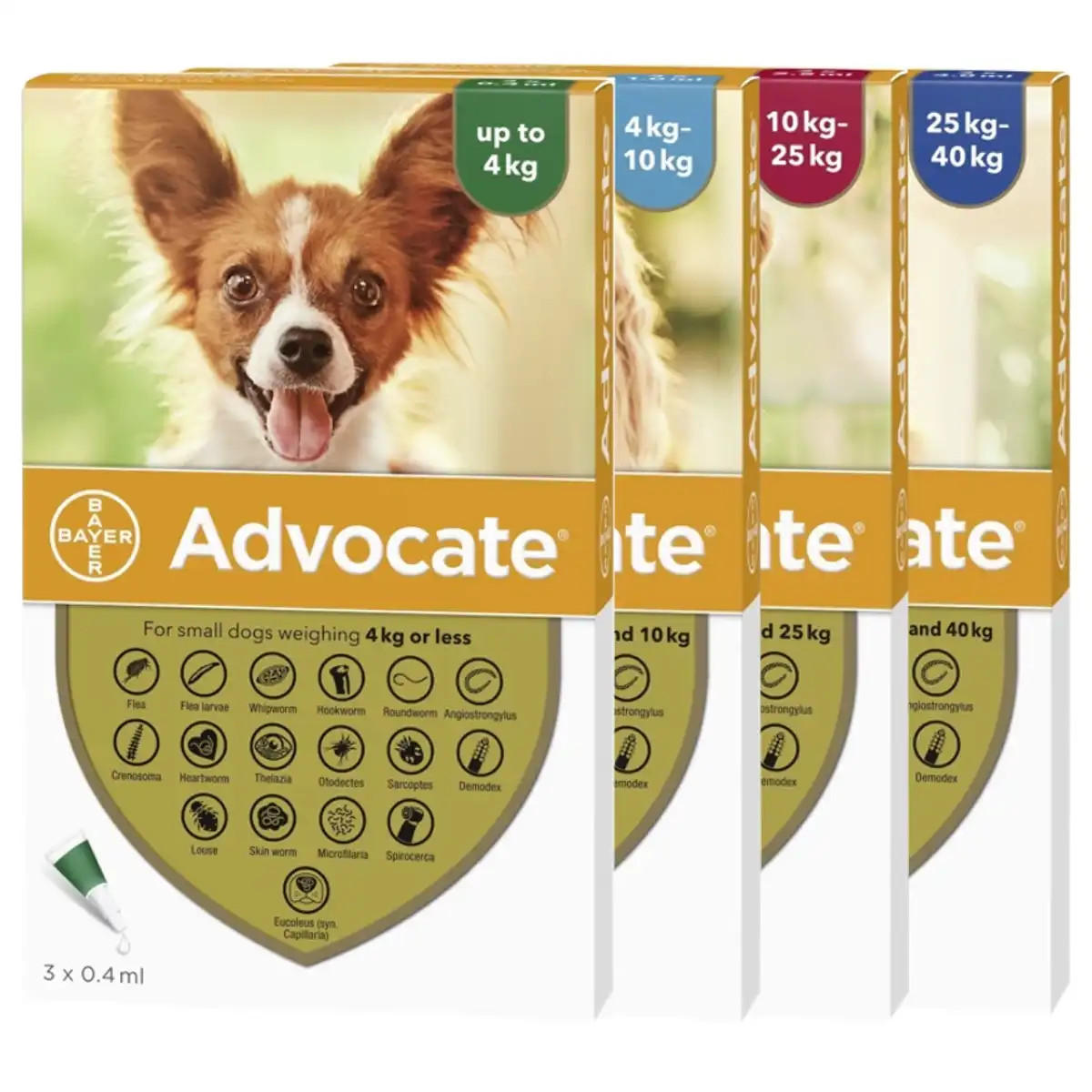 Advocate für Katzen | Atlantic Pet Products