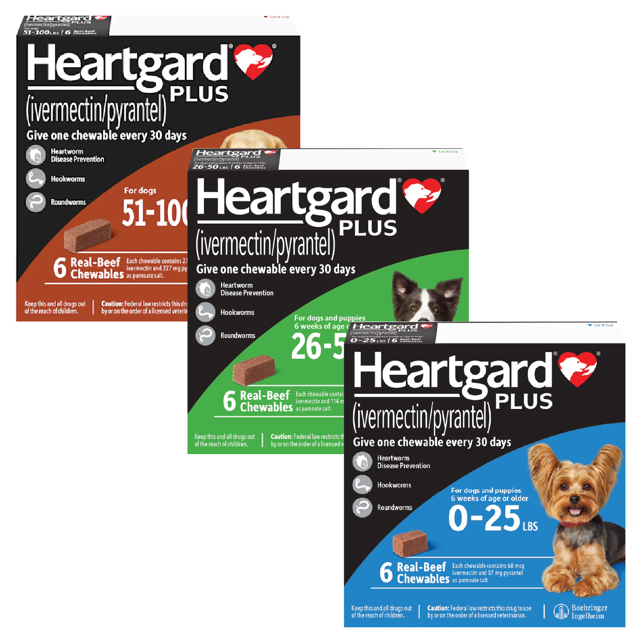 Heartgard Plus Chewables for Dogs | Atlantic Pet Products