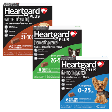 Heartgard Plus Chewables for Dogs | Atlantic Pet Products