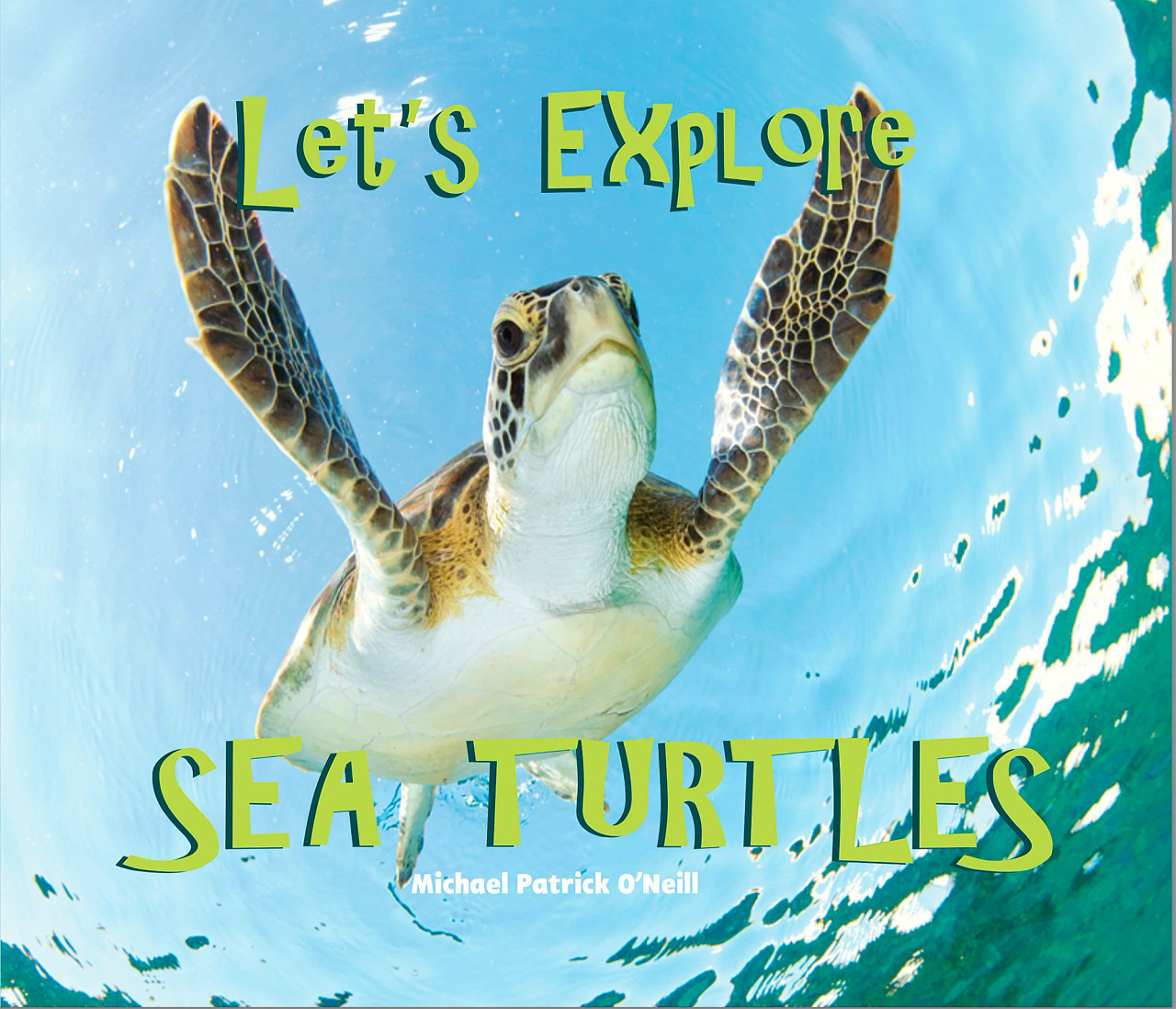 Loggerhead Marinelife Center Online Gift Store