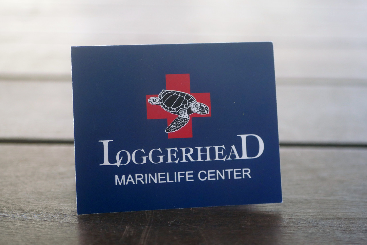 LMC Gift Store Gift Card - Loggerhead Marinelife Center