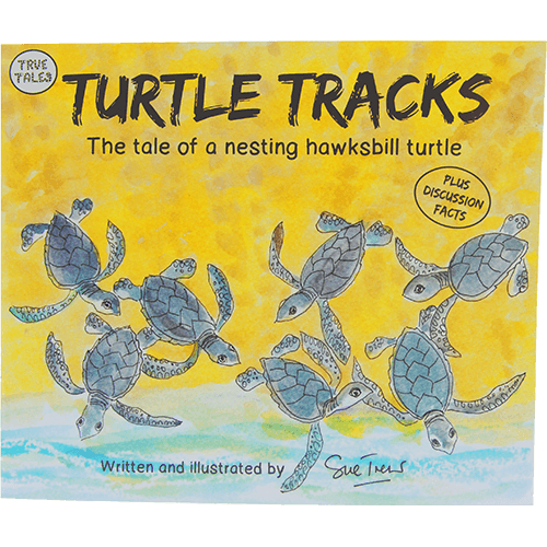 Turtle Tracks - Loggerhead Marinelife Center