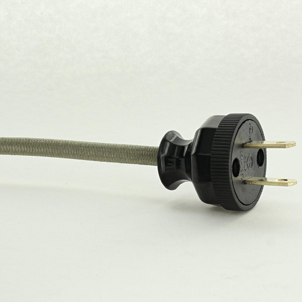 12ft. Metallic Envy Nylon Braided SPT-2 Wire Lamp Cordset with Antique ...